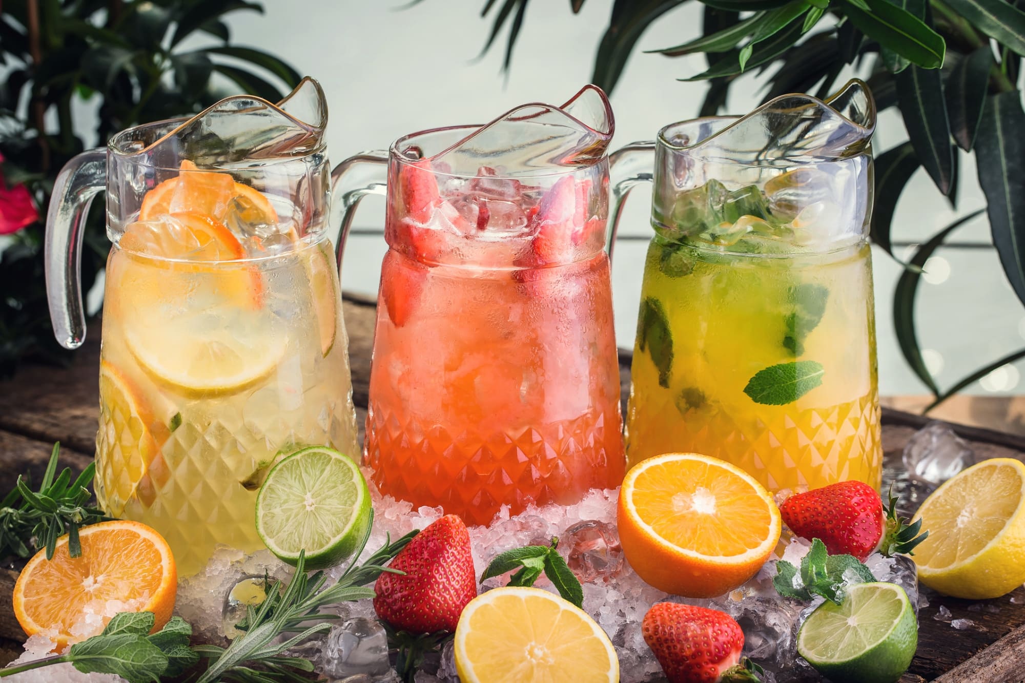 Aguas frescas con frutas de temporada Entre Campeonas